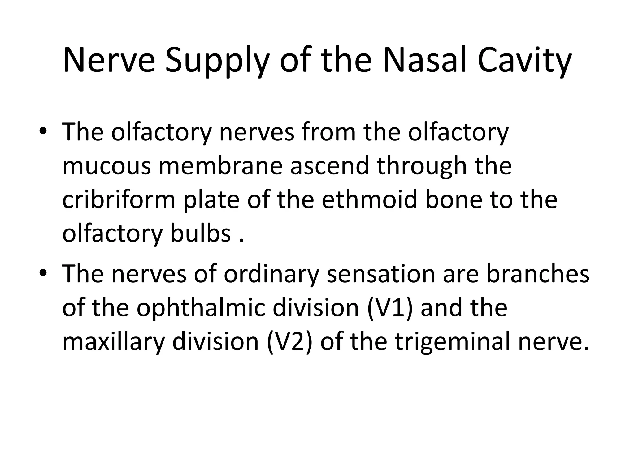 Anatomy of nose and paranasal sinus | PDF