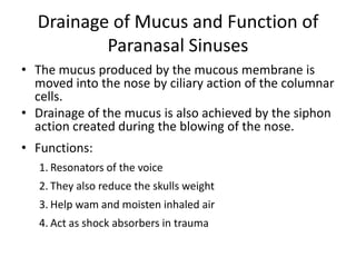 Anatomy of nose and paranasal sinus | PDF
