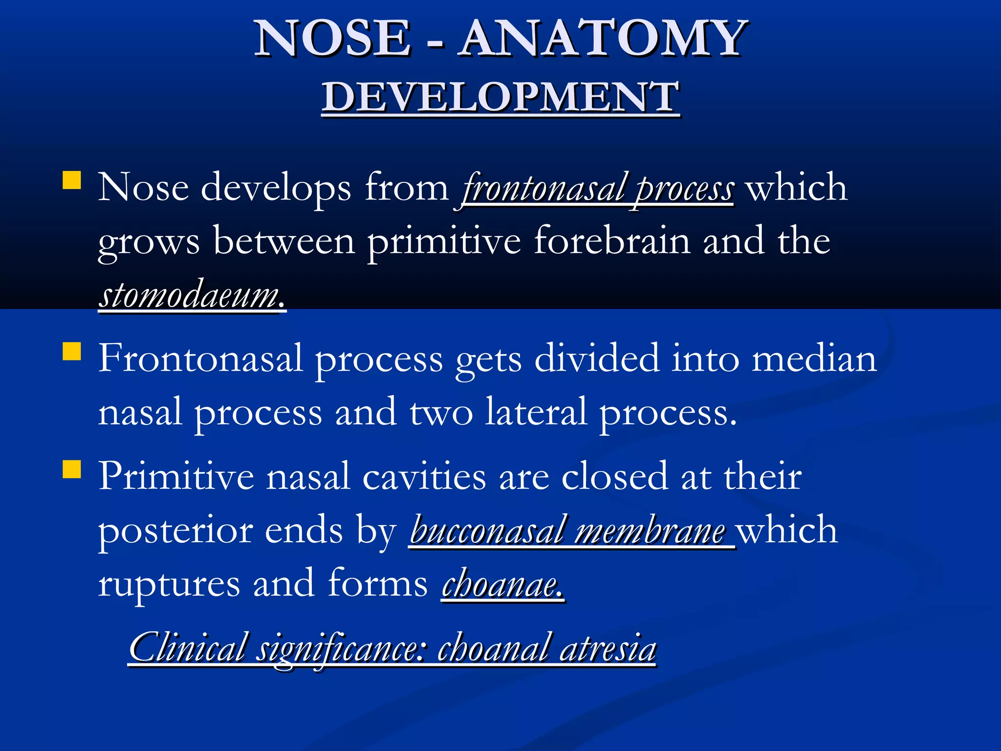 Anatomy of nose and paranasal sinuses | PPT