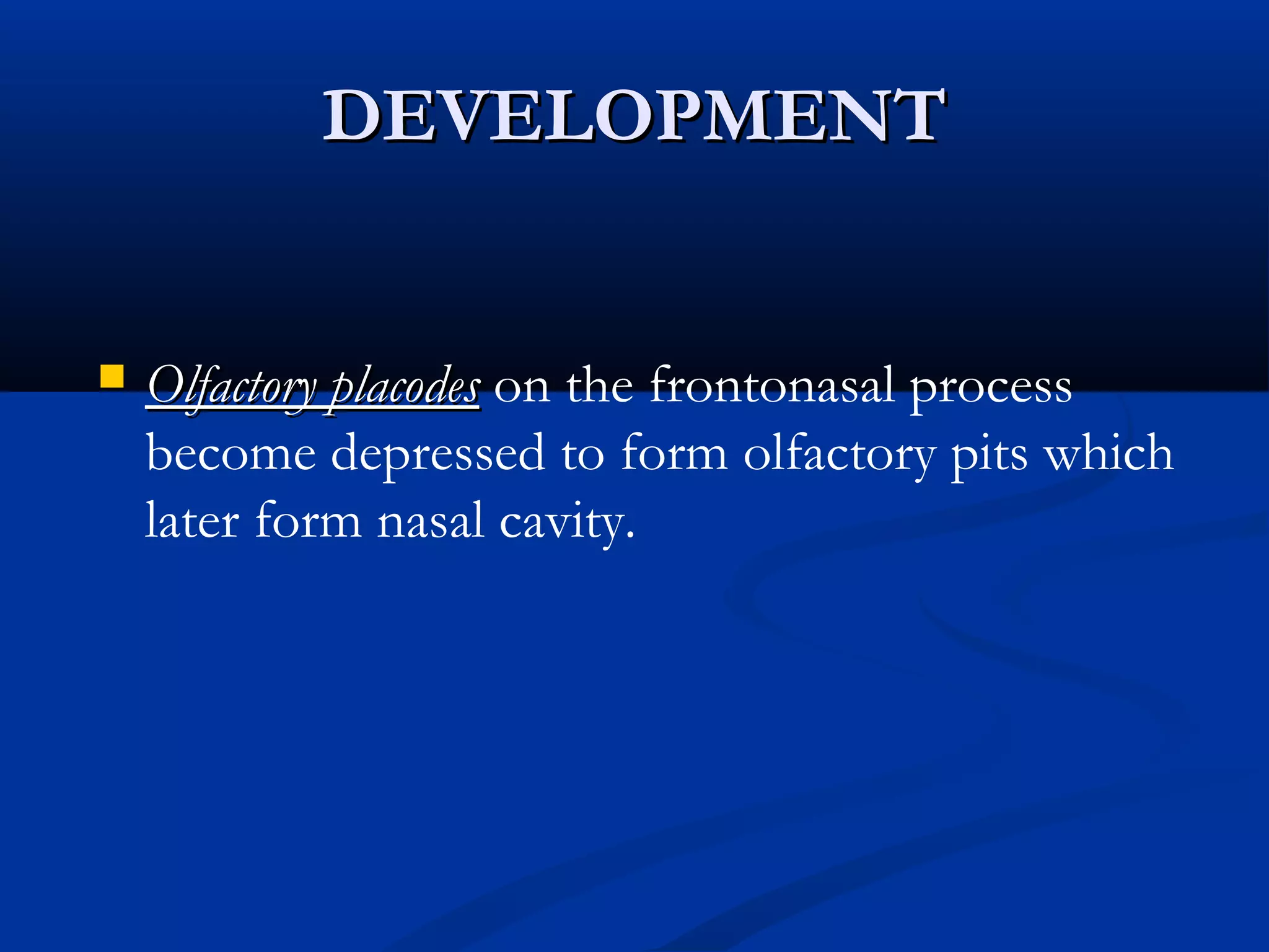 Anatomy of nose and paranasal sinuses | PPT