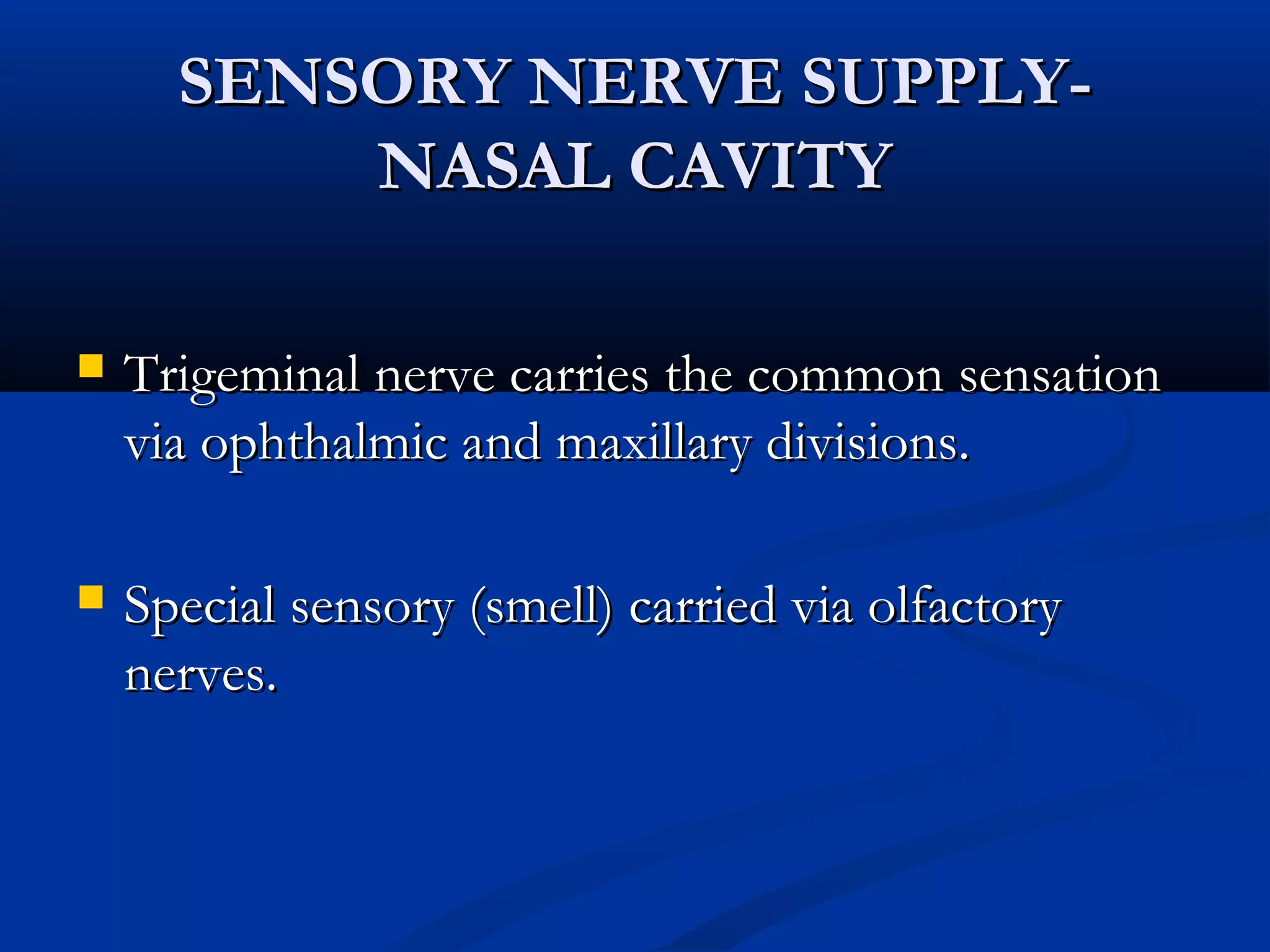 Anatomy of nose and paranasal sinuses | PPT