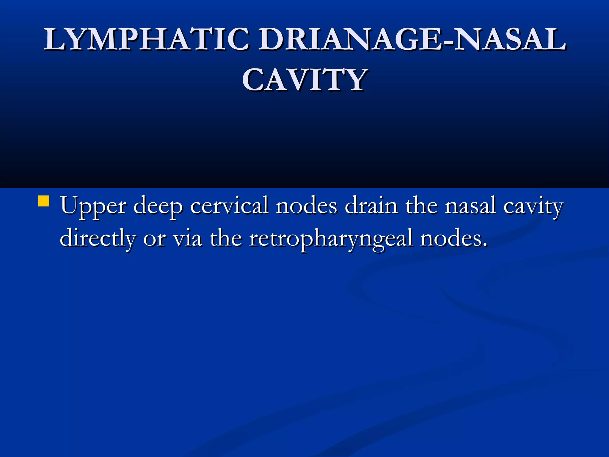 Anatomy of nose and paranasal sinuses | PPT