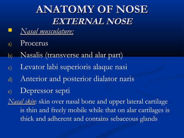 Anatomy of nose and paranasal sinuses | PPT