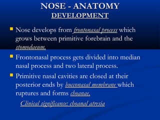 Anatomy of nose and paranasal sinuses | PPT