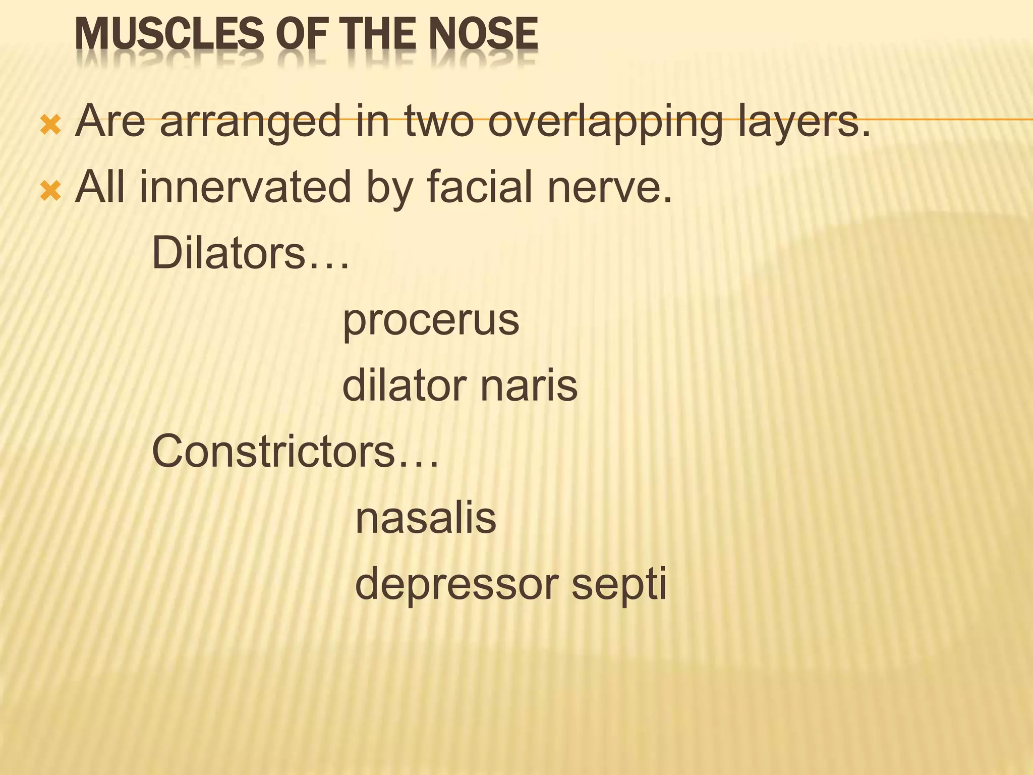 Anatomy of nose and paranasal sinuses | PPTX