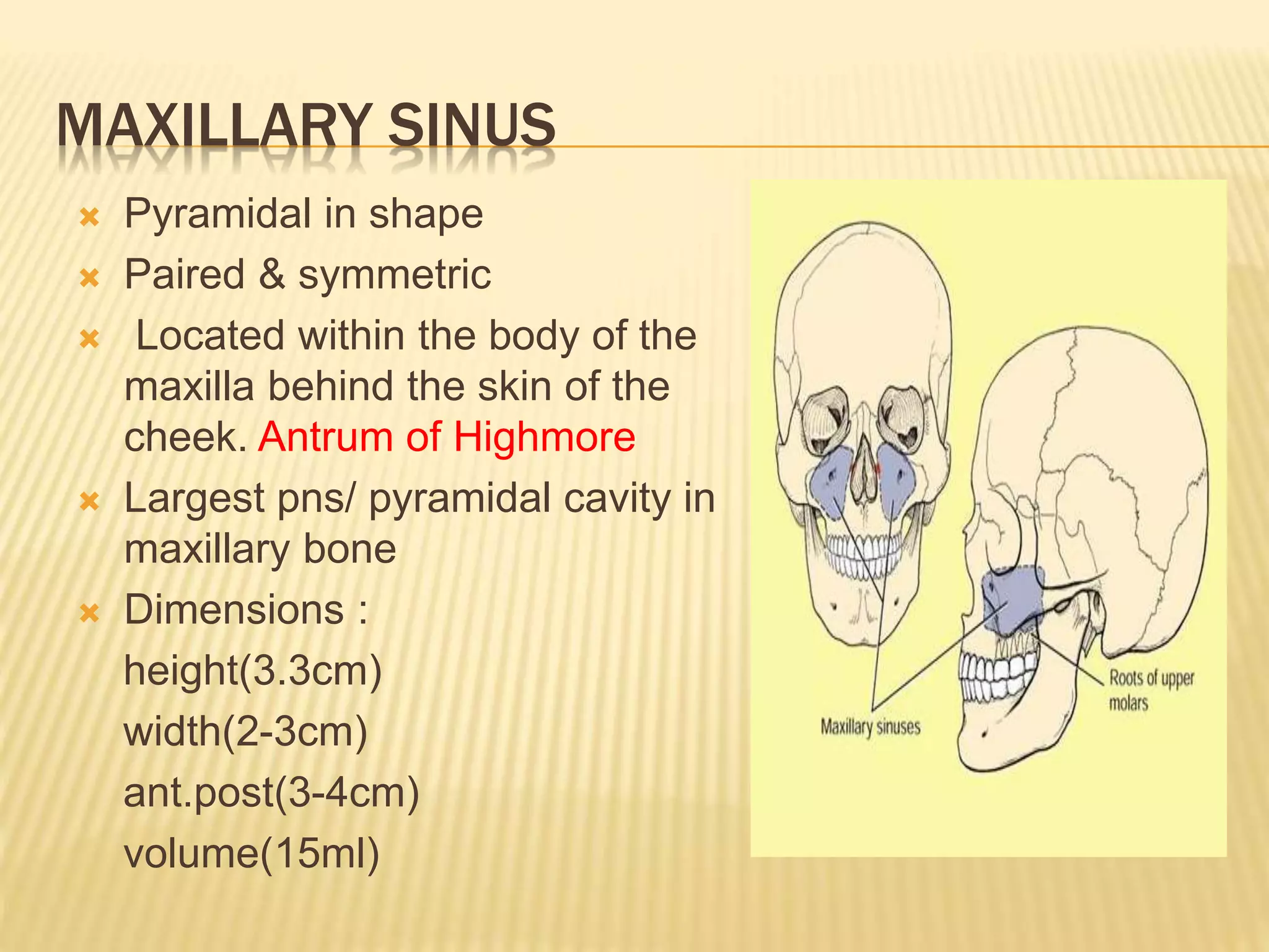 Anatomy of nose and paranasal sinuses | PPTX