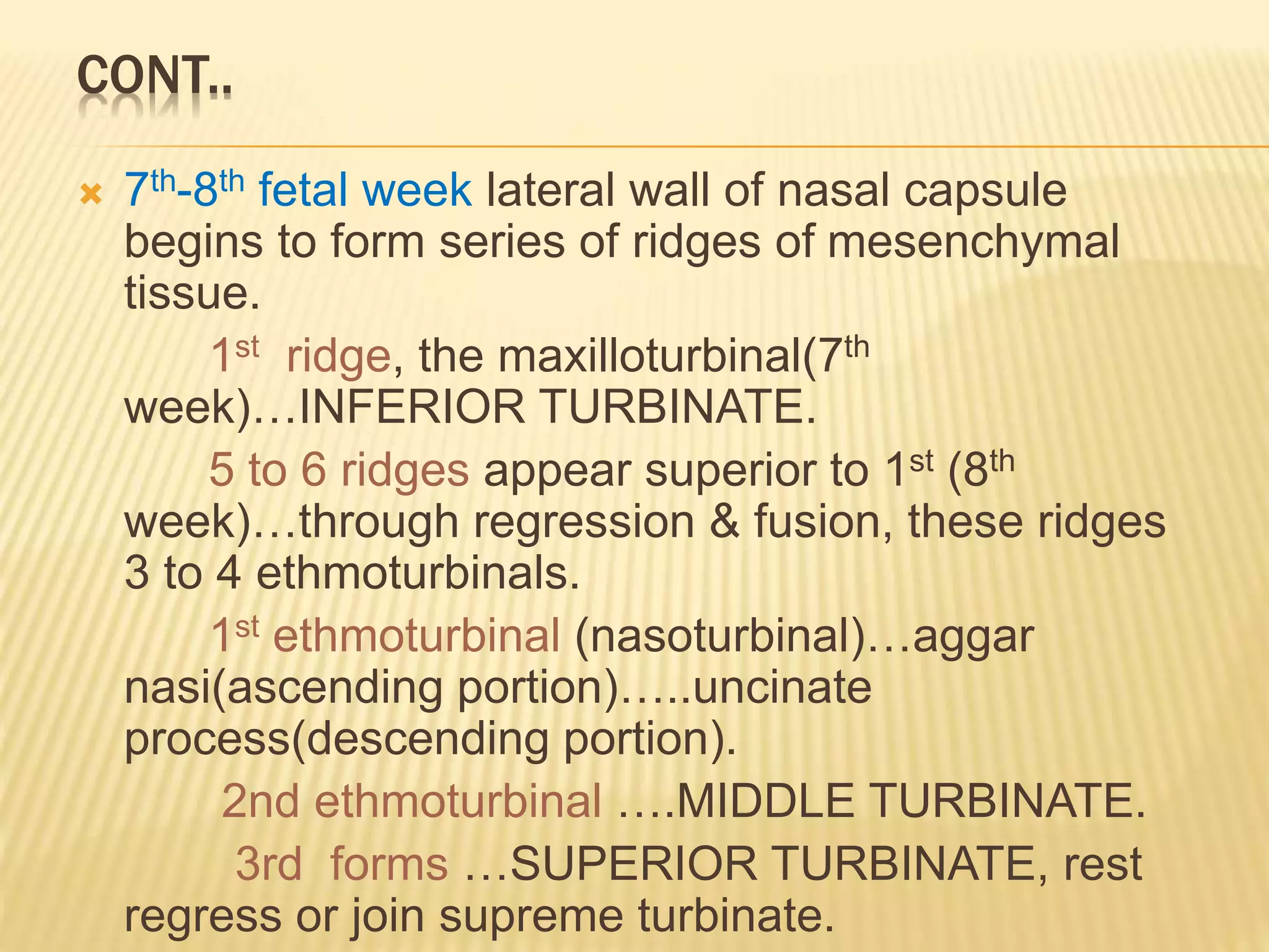 Anatomy of nose and paranasal sinuses | PPTX