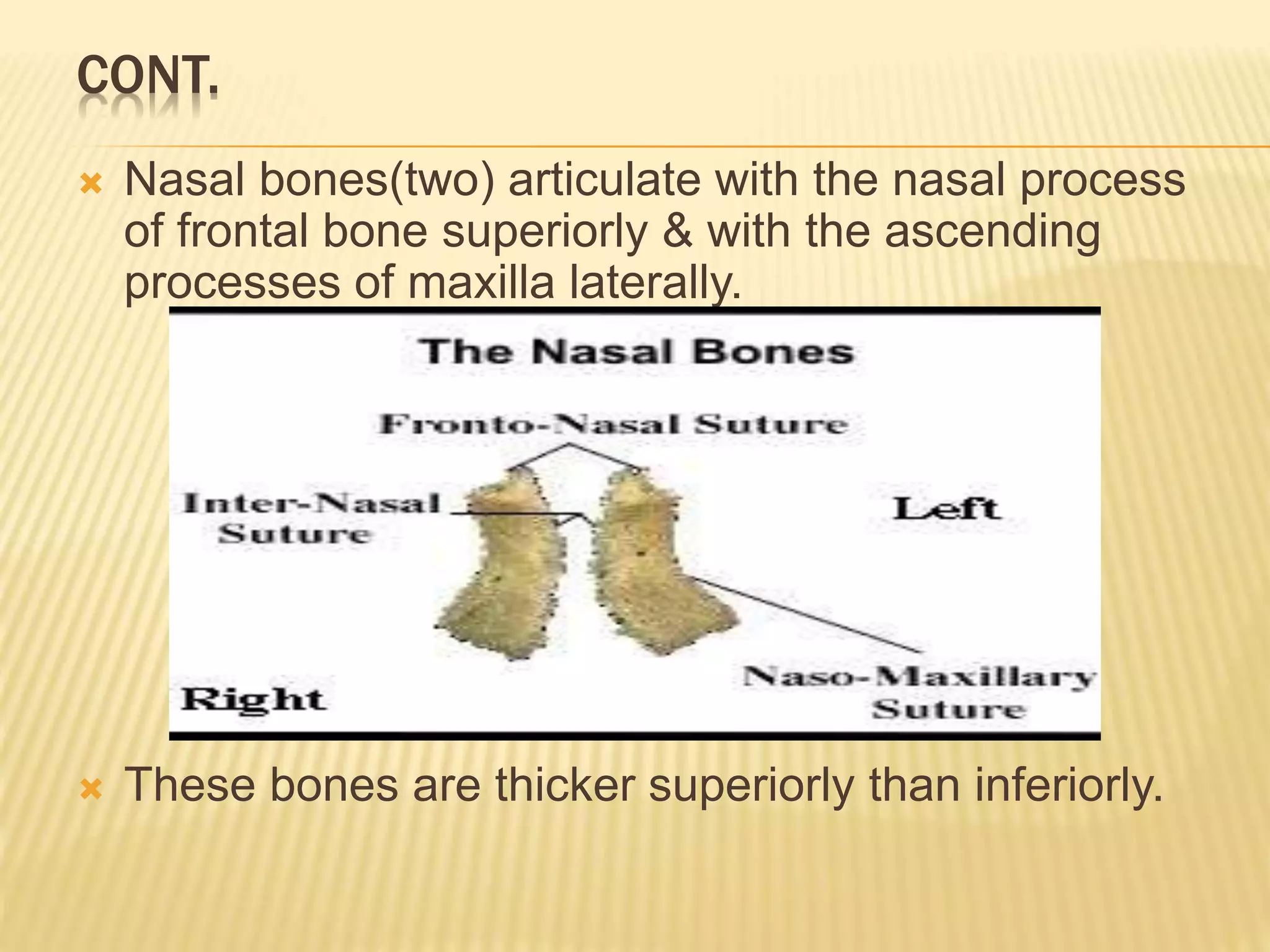 Anatomy of nose and paranasal sinuses | PPTX