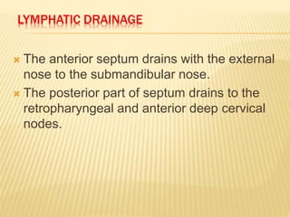 Anatomy of nose and paranasal sinuses | PPTX