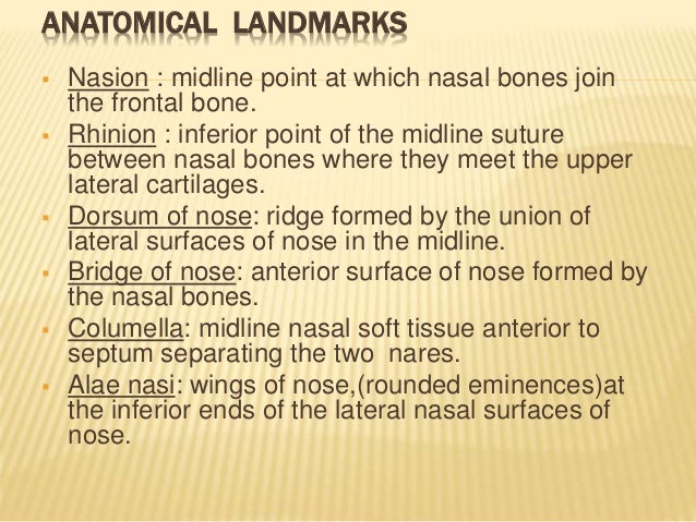 Anatomy of nose and paranasal sinuses