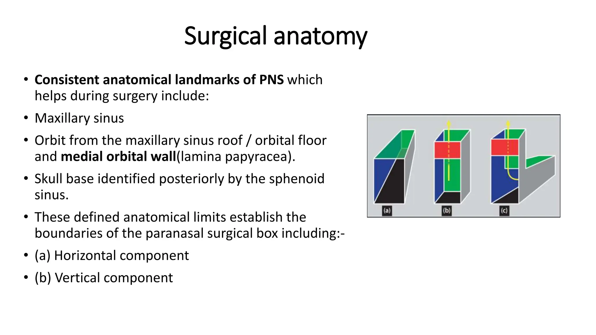 ANATOMY OF NOSE AND PARANASAL SINUSES.pptx