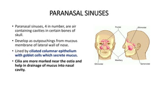 ANATOMY OF NOSE AND PARANASAL SINUSES.pptx