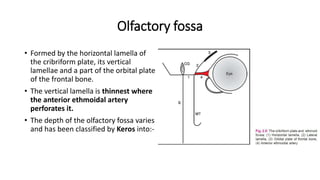 ANATOMY OF NOSE AND PARANASAL SINUSES.pptx