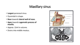 ANATOMY OF NOSE AND PARANASAL SINUSES.pptx