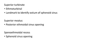 ANATOMY OF NOSE AND PARANASAL SINUSES.pptx