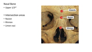 ANATOMY OF NOSE AND PARANASAL SINUSES.pptx