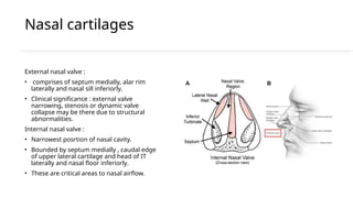 Anatomy of Nose and Paranasal sinuses.-Dr Vijay-Aiims kalyani.pptx