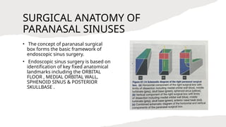 Anatomy of Nose and Paranasal sinuses.-Dr Vijay-Aiims kalyani.pptx