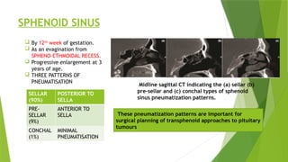 ANATOMY OF NOSE AND PARANASAL SINUSES.pptx