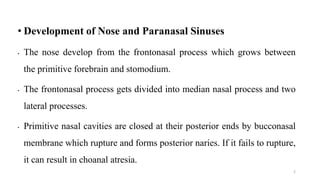 Anatomy Of Nose And Paranasal Sinuses - Copy.pptx | Ear, Nose and ...