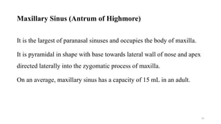 Anatomy Of Nose And Paranasal Sinuses - Copy.pptx