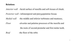 Anatomy Of Nose And Paranasal Sinuses - Copy.pptx
