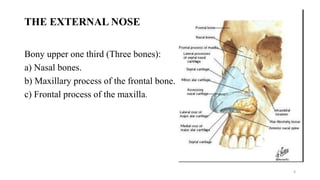 Anatomy Of Nose And Paranasal Sinuses - Copy.pptx