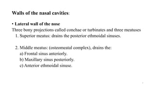 Anatomy Of Nose And Paranasal Sinuses - Copy.pptx | Ear, Nose and ...