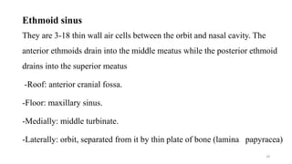 Anatomy Of Nose And Paranasal Sinuses - Copy.pptx