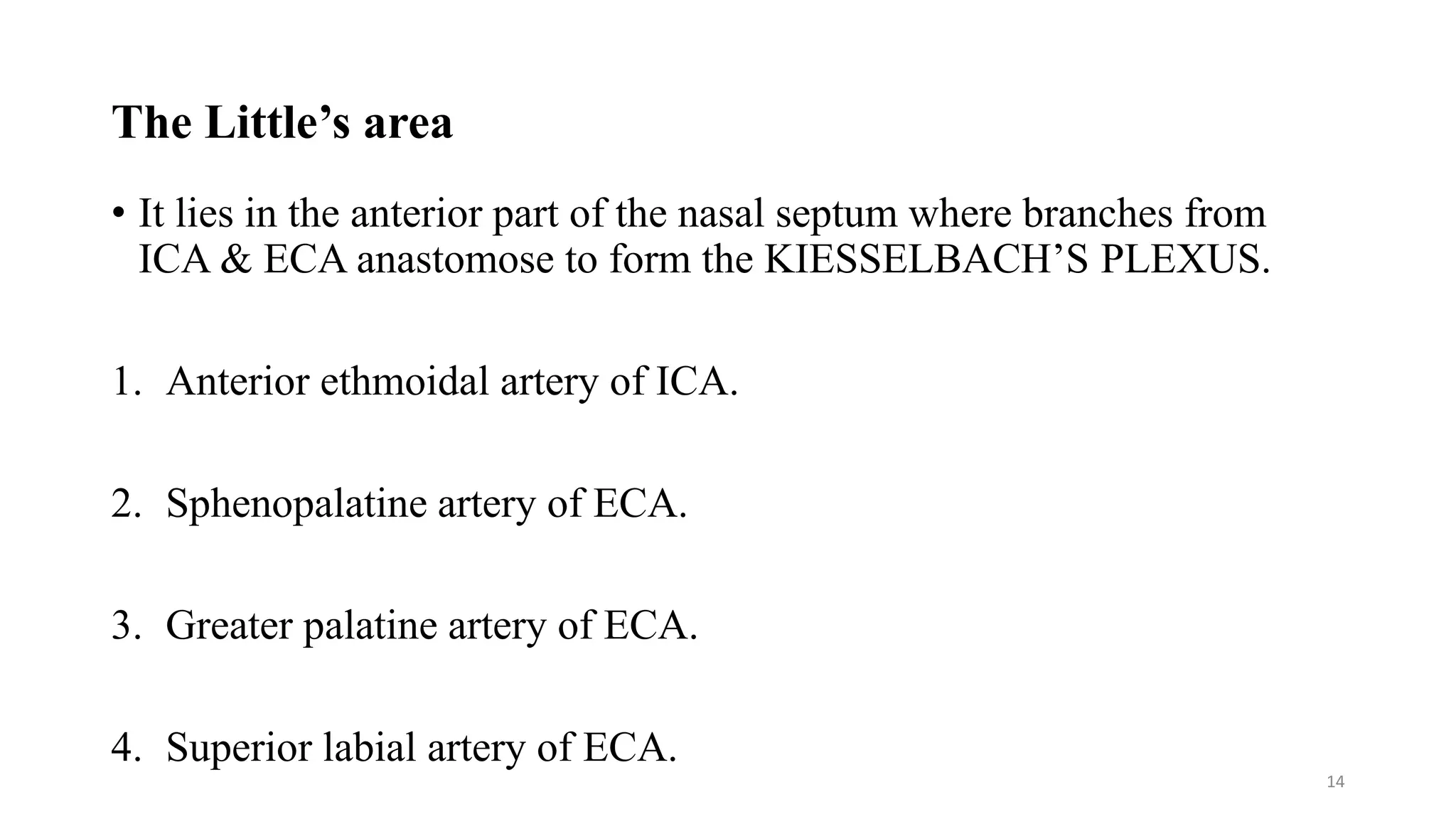 Anatomy of Nose And Paranasal Sinuses - Copy.pptx