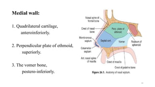 Anatomy of Nose And Paranasal Sinuses - Copy.pptx