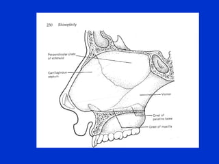 Anatomy of nose and paranasal sinuses | PPT