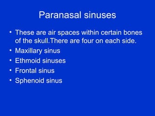 Anatomy of nose and paranasal sinuses | PPT