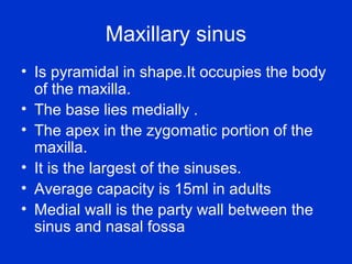 Anatomy of nose and paranasal sinuses | PPT