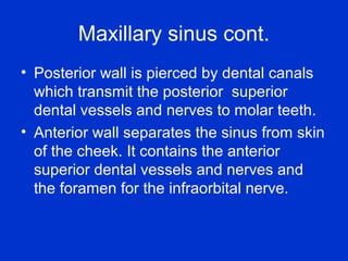 Anatomy of nose and paranasal sinuses | PPT