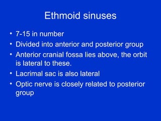 Anatomy of nose and paranasal sinuses | PPT