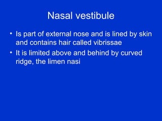 Anatomy of nose and paranasal sinuses | PPT