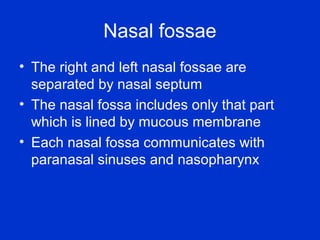 Anatomy of nose and paranasal sinuses | PPT