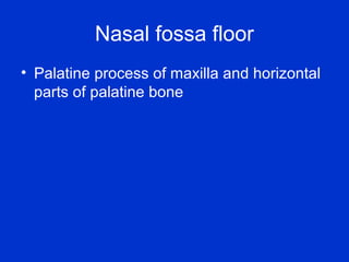 Anatomy of nose and paranasal sinuses | PPT