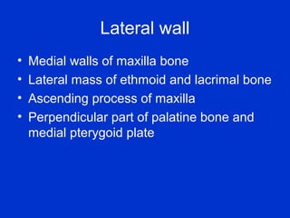 Anatomy of nose and paranasal sinuses | PPT