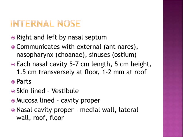 Anatomy of nose and pns | PPTX | Ear, Nose and Throat Conditions ...