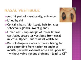 Anatomy of nose and pns | PPTX