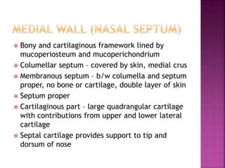 Anatomy of nose and pns | PPTX