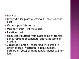 Anatomy of nose and pns | PPTX