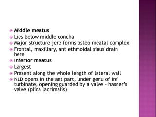 Anatomy of nose and pns | PPTX