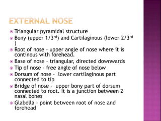 Anatomy of nose and pns | PPTX