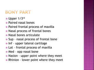 Anatomy of nose and pns | PPTX