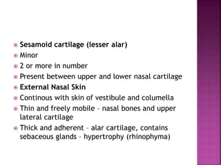 Anatomy of nose and pns | PPTX