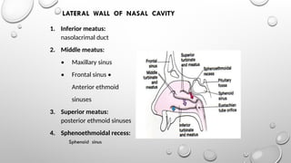 ANATOMY OF NOSE AND PARA NASAL SINUSES.pptx