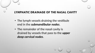 ANATOMY OF NOSE AND PARA NASAL SINUSES.pptx